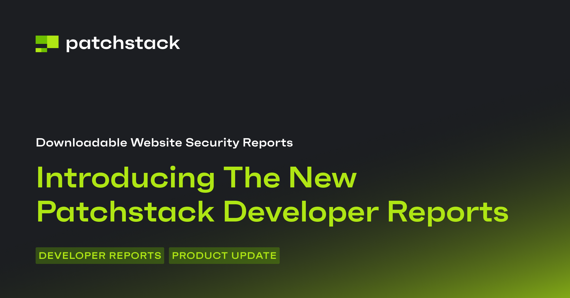 Patchstack Reports - Downloadable Website Security Reports