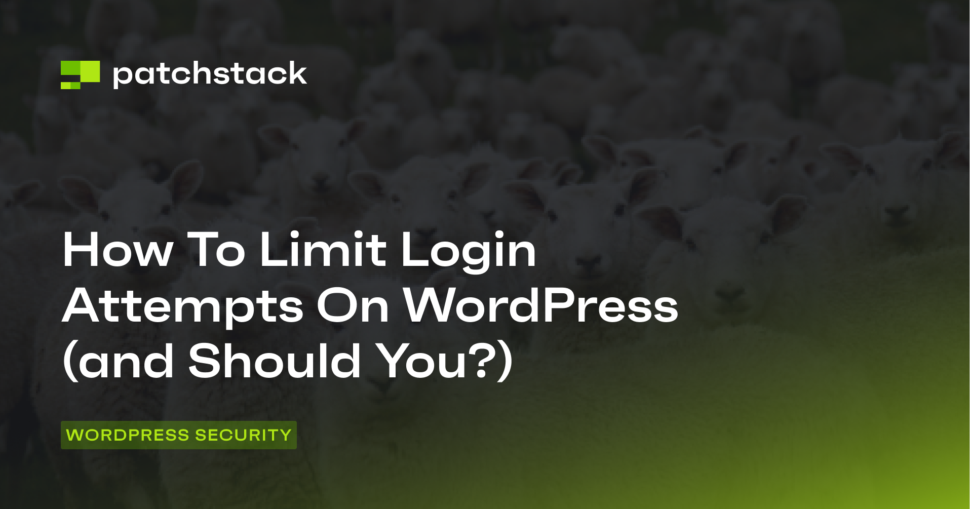 How To Limit Login Attempts on WordPress (+ Should You?) - Patchstack