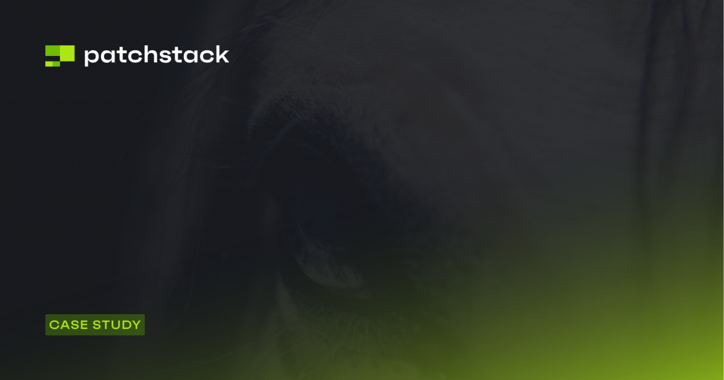 Case Studies and Interviews - Patchstack Security Blog