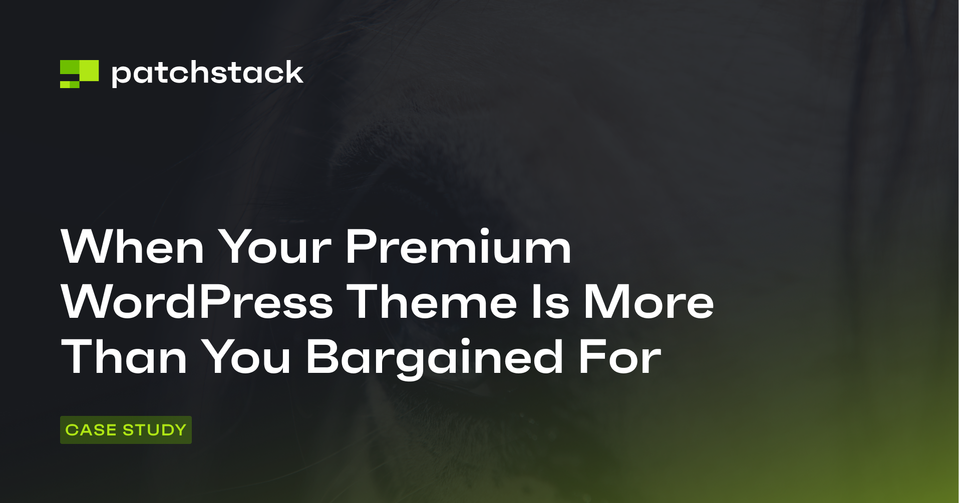 Case Study: When Your Premium WordPress Theme Is More Than You ...
