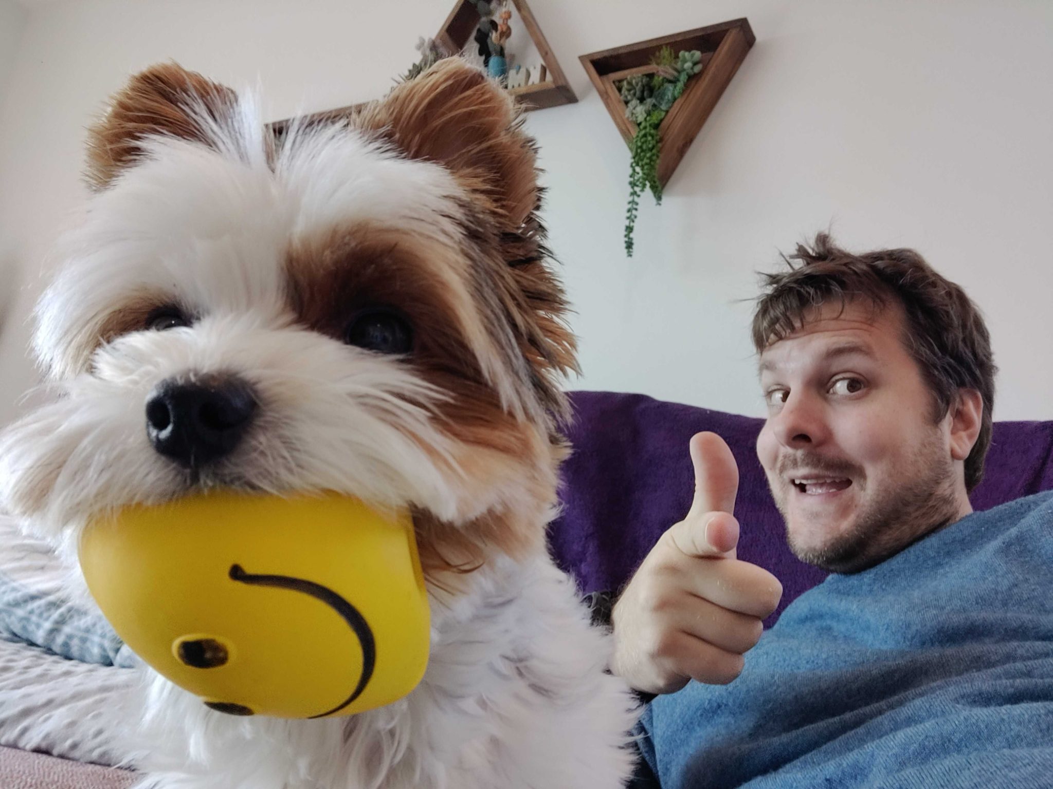 Interview with Mat Rollings AKA stealthcopter - Patchstack